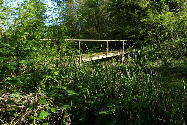 Six Memories of Billy Thatcher – ROUX BEDROSIAN: Official Site & Portfolio